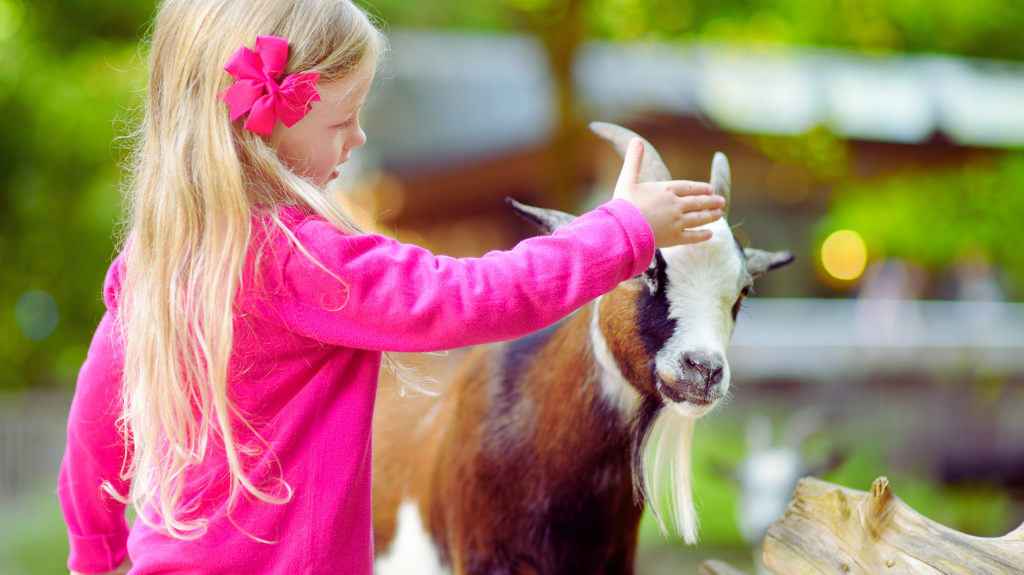 5 Things Kids Will Love in Tulsa | Solid Rock Realtors