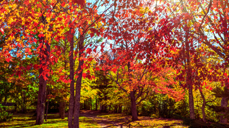 Posts from August 18th, 2025